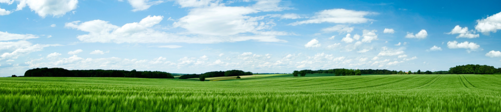 UREA | AzotAgroDunav